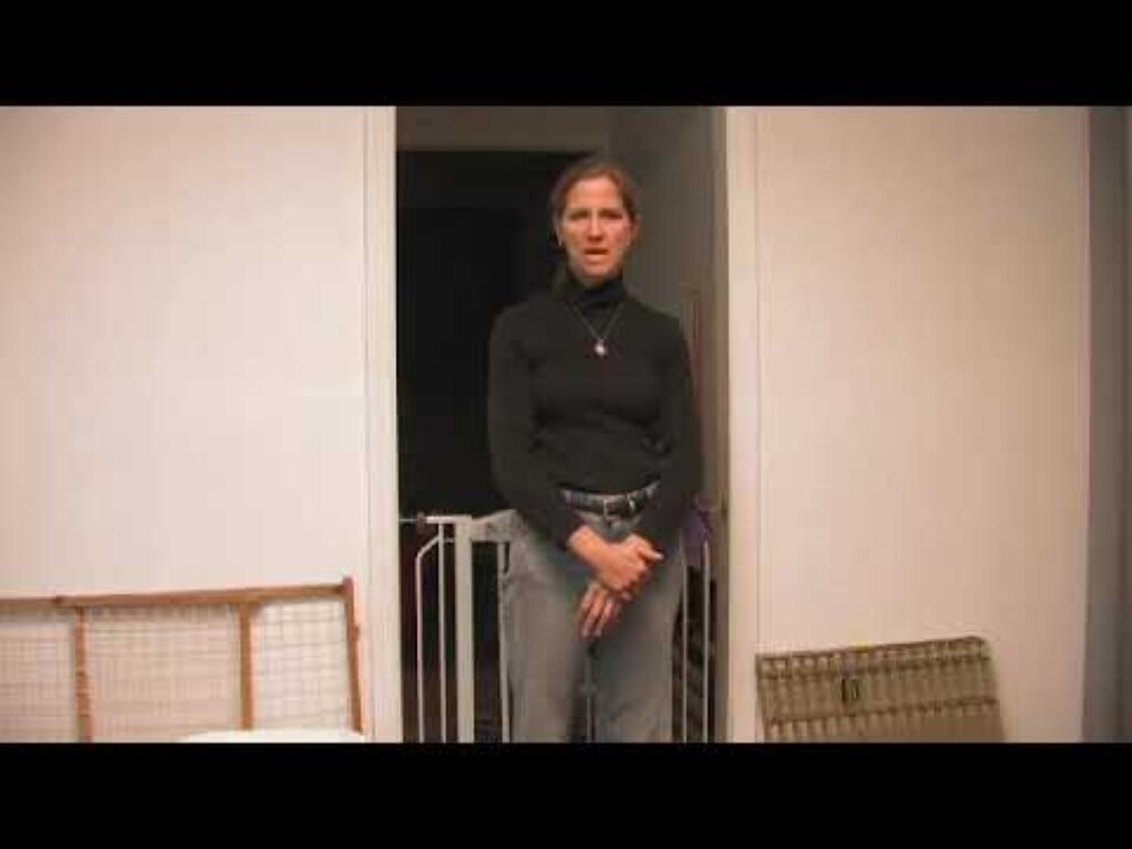 Dog Potty Training Mastery: Mastering the Art in 6 Words